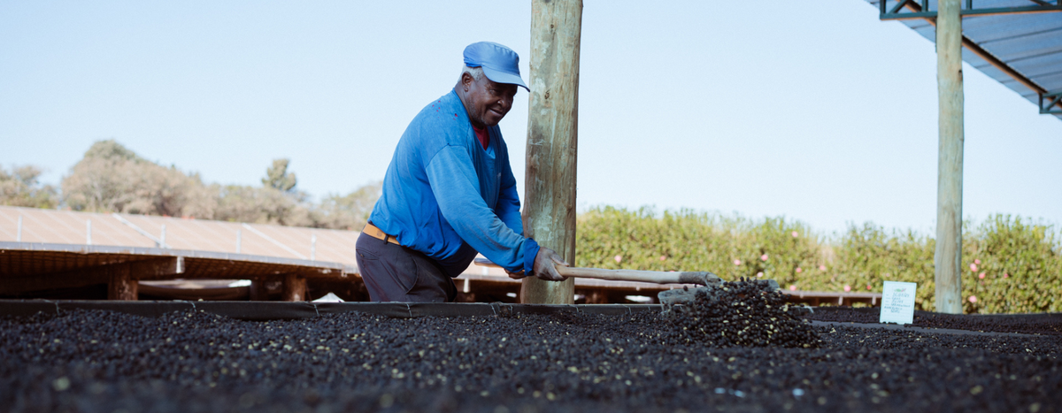 Axil Coffee Roasters | Melbourne Made, Always Independent