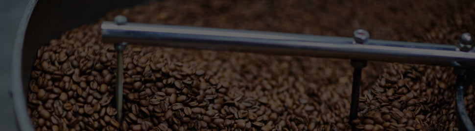 Specialty Coffee | Beans, Blends & Single Origins - Axil Coffee